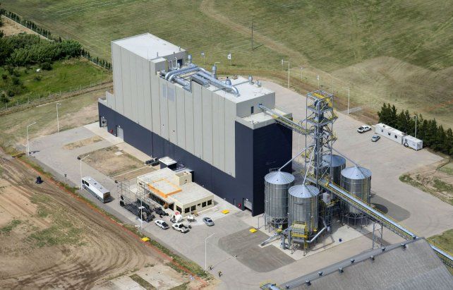 La molienda de trigo, en su mejor momento