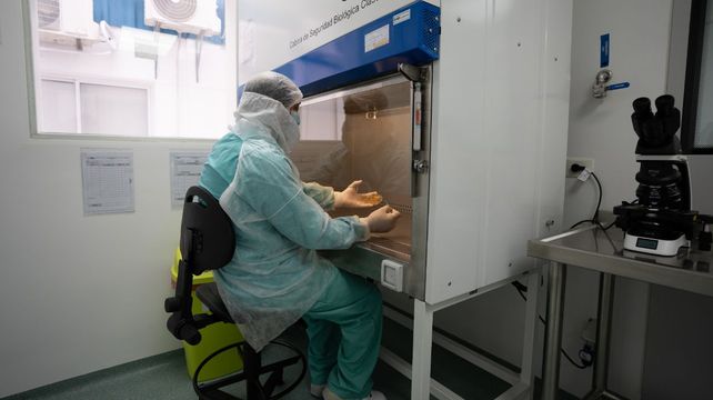 Nueva planta de vacunas contra brucelosis en Argentina